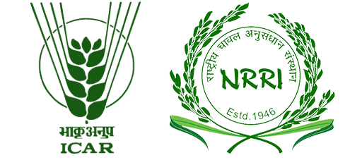 Digital Research field Operations of NRRI Experimental Farm - DRONE